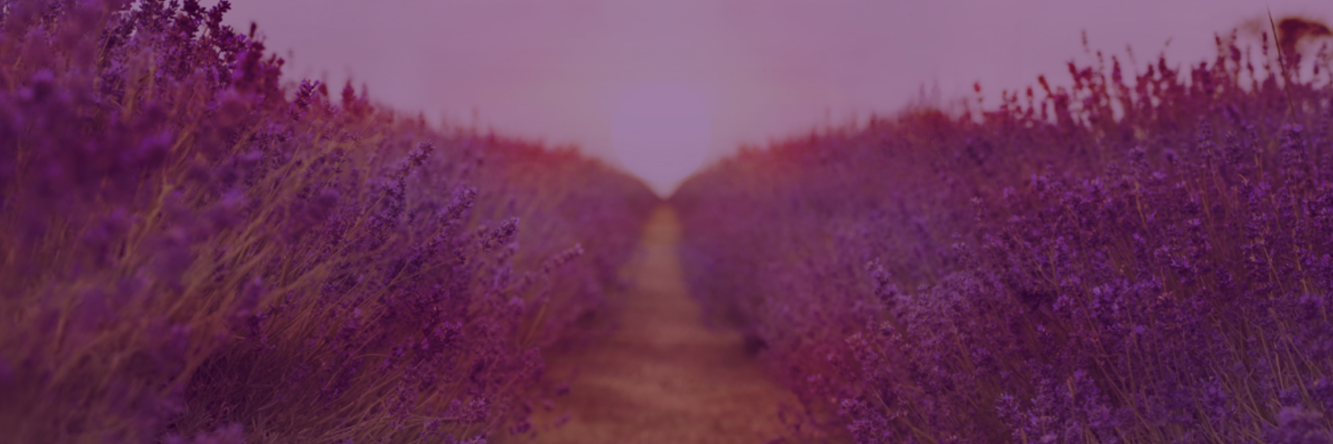 Shalem Institute / Shalem Institute