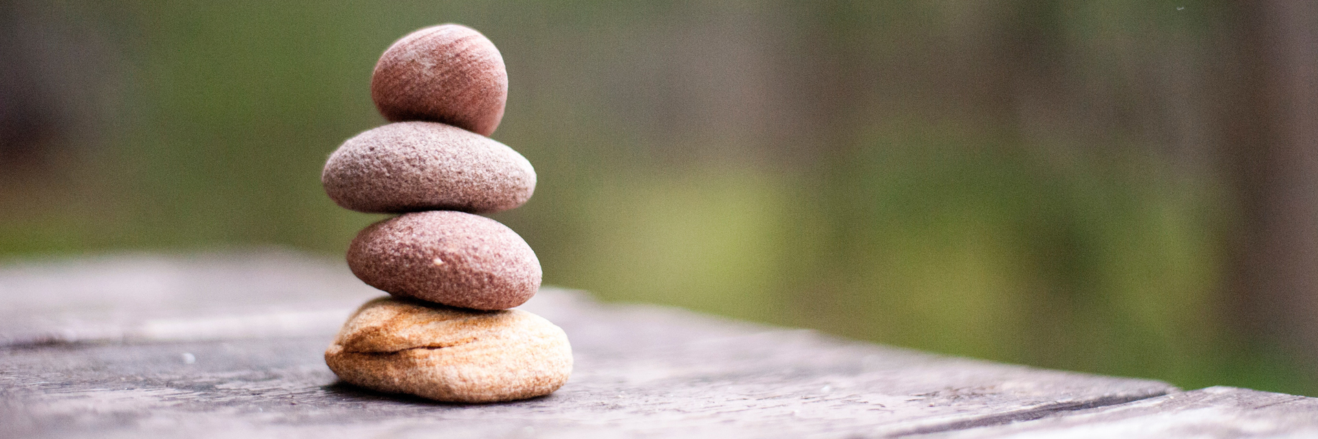 Shalem Institute / Shalem Institute