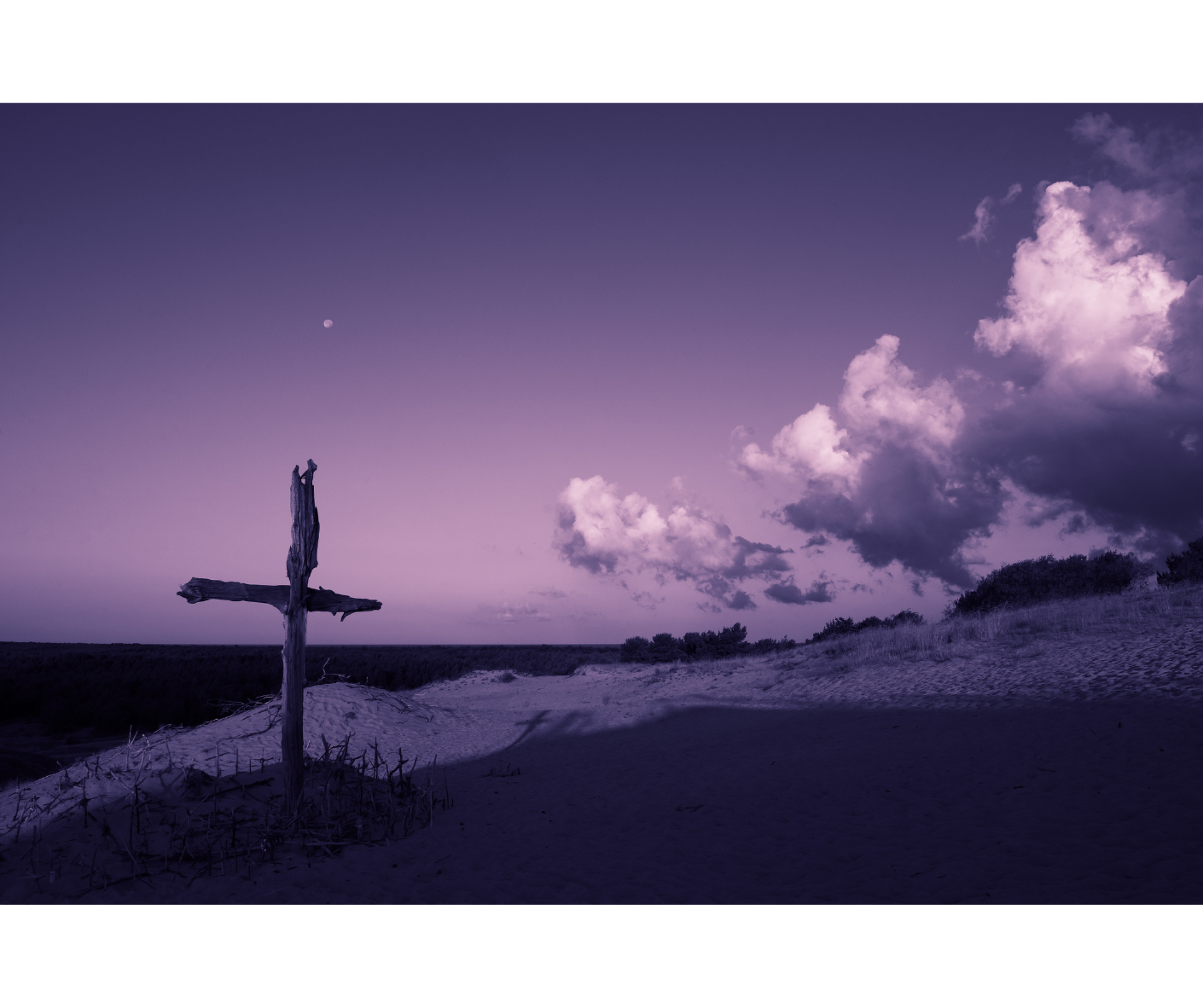 Shalem Institute / A Theme Psalm for this Lent