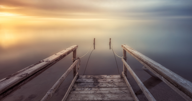 Shalem Institute / Shalem in Transition: A Time for Discernment